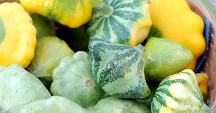 patisonai - išsamiai DELFI.lt